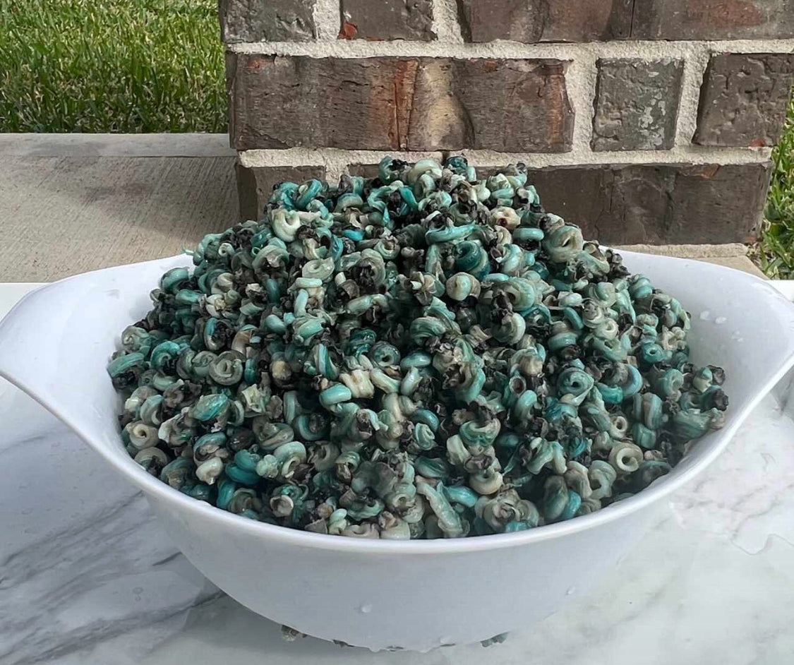 FRESH PERIWINKLE – Lhayo Foods