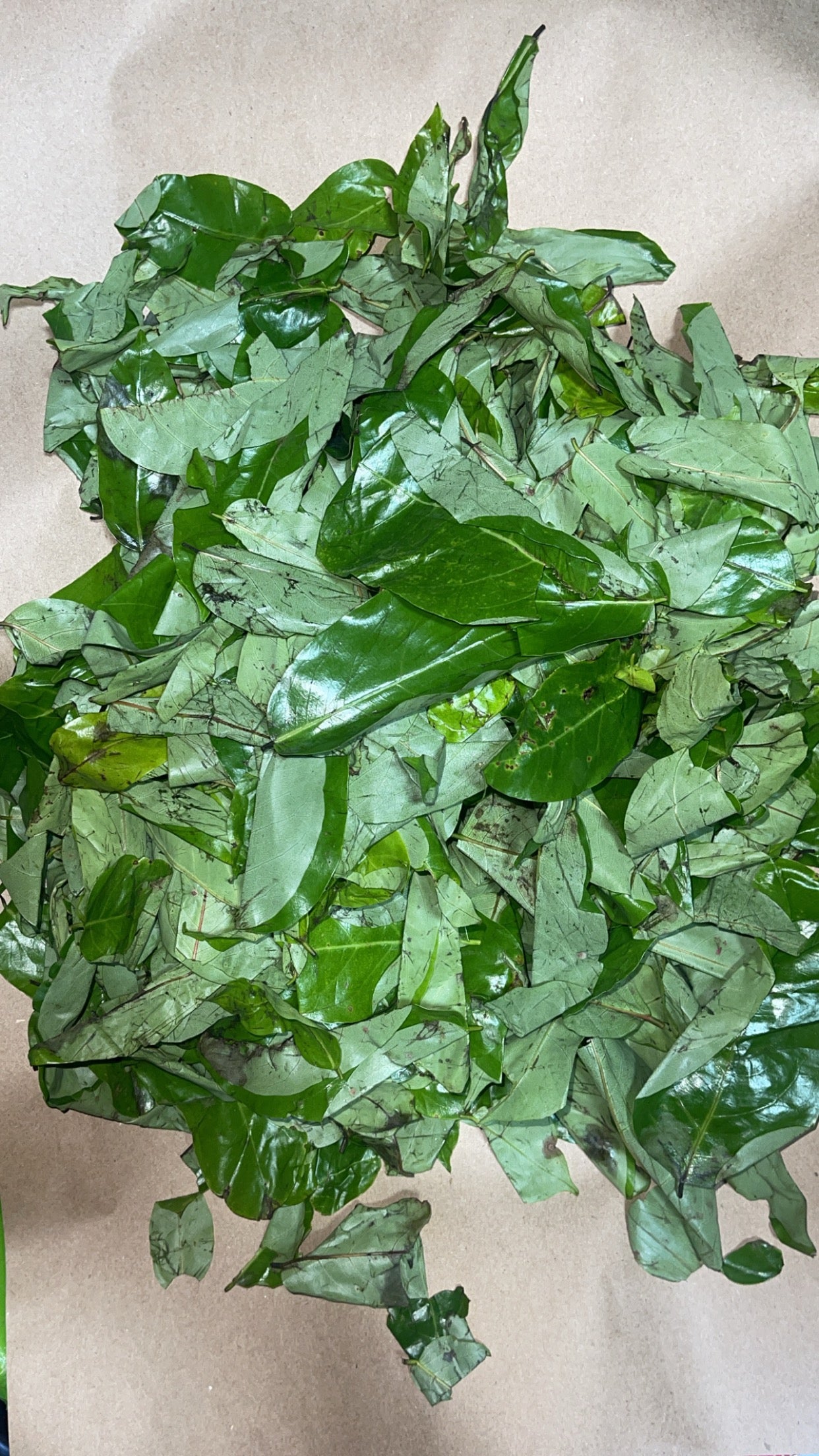 FRESH UHA LEAF – Lhayo Foods