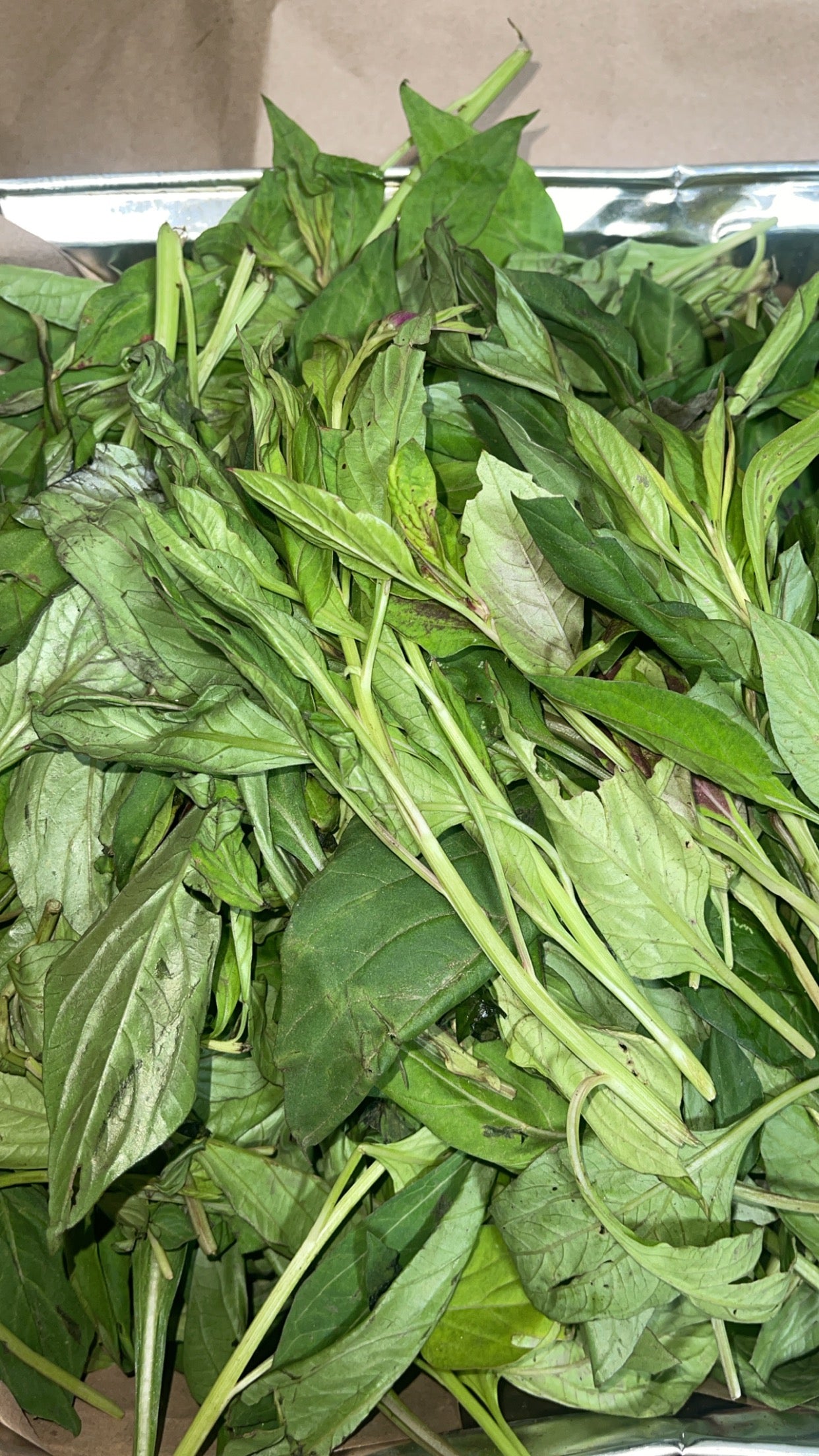 FRESH SHOKO LEAF – Lhayo Foods