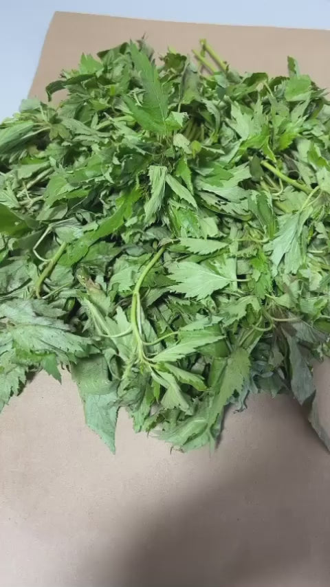 FRESH EWEDU LEAF /JUTE LEAF – Lhayo Foods